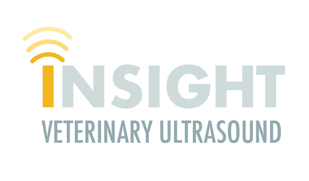 About Insight | INSIGHT Veterinary Ultrasound About Insight | INSIGHT Veterinary Ultrasound